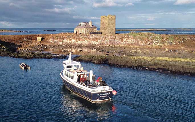 Discover the Magic of the Farne Islands with Our Seal Tours
